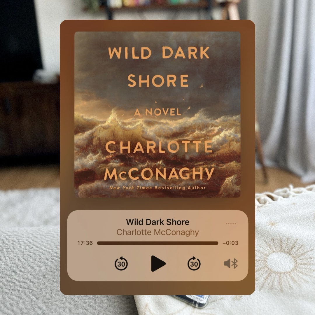 Wild Dark Shore – When I'm Reading